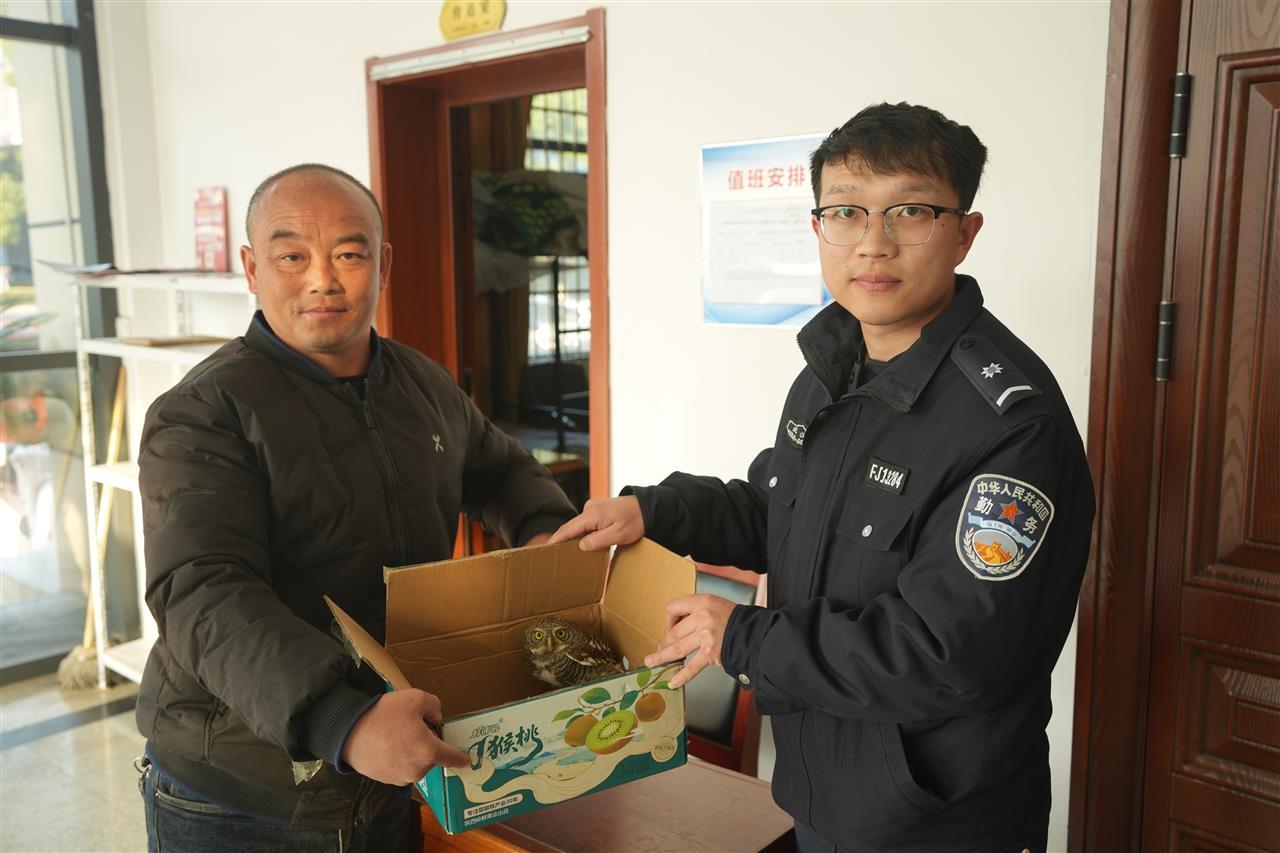 武汉黄陂：“小萌禽”误闯辅警家，警民联手暖心救助--湖北省公安厅